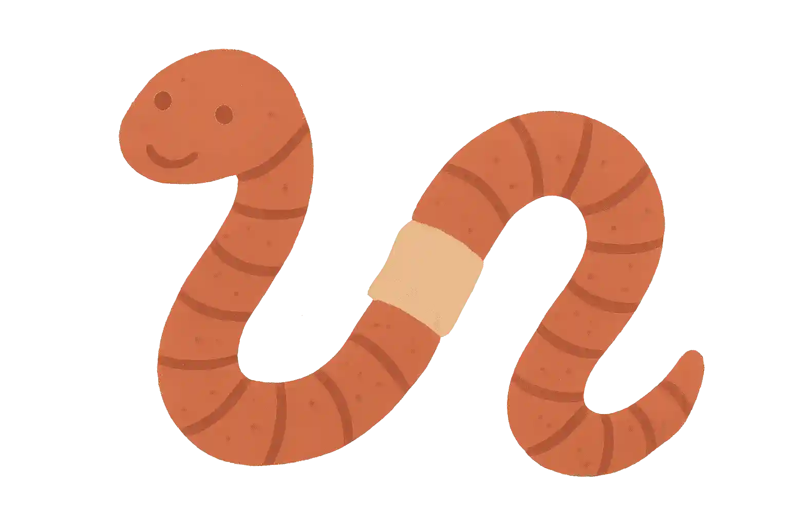 Let's learn animal names! Animal names that start with 'mi'